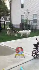 Dusty Dubs (@thedustydubs) | Snapchat Stories, Spotlight & Lenses