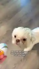 Scuba Steph (@scubastephsnap) | Snapchat Stories, Spotlight & Lenses