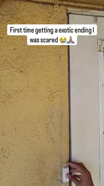 Kamo Bandz（@kamo_bandz） | Snapchatストーリー、スポットライト、レンズ