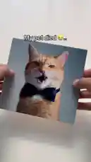 Akseso (@puzzle.chop) | Snapchat Stories, Spotlight & Lenses