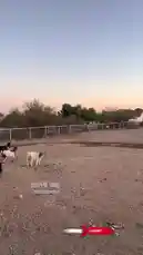 Dusty Dubs (@thedustydubs) | Snapchat Stories, Spotlight & Lenses