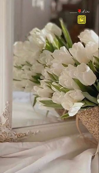 Rose.Najd (@roz_098) | Snapchat Stories, Spotlight & Lenses