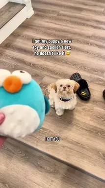 Scuba Steph (@scubastephsnap) | Snapchat Stories, Spotlight & Lenses