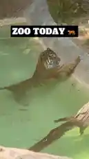 Azra Lifts (@azra_lift) | Snapchat Stories, Spotlight & Lenses