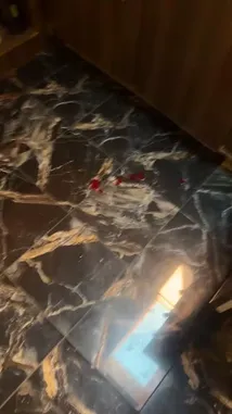 Sania Mallory (@therealsataniax) | Snapchat Stories, Spotlight & Lenses