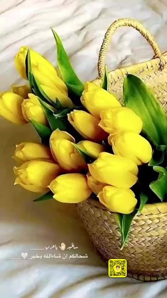 Rose.Najd (@roz_098) | Snapchat Stories, Spotlight & Lenses