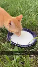 Sarah Coomer (@sarah.coomer) | Snapchat Stories, Spotlight & Lenses