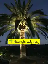 أنس آكشن (@anas_action) | القصص ومنصّة "الأضواء" وعدسات Lens في سناب شات