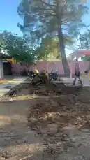 Sania Mallory (@therealsataniax) | Snapchat Stories, Spotlight & Lenses