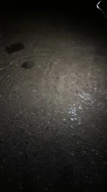 Rinni Bunny 🖤 (@rinnibunnyy) | Snapchat Stories, Spotlight & Lenses