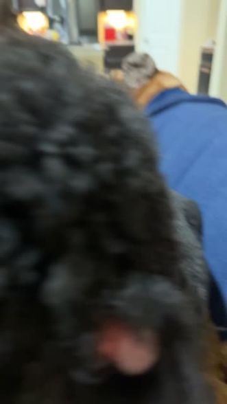 kalibabbyy (@kalibabbyy) | Snapchat Stories, Spotlight & Lenses