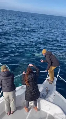 erica sackrison (@ericasackrison) | Snapchat Stories, Spotlight & Lenses