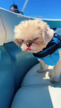 Scuba Steph (@scubastephsnap) | Snapchat Stories, Spotlight & Lenses