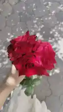 Innocent Girl（@inno-girl6550） | Snapchatストーリー、スポットライト、レンズ