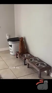 Dusty Dubs (@thedustydubs) | Snapchat Stories, Spotlight & Lenses