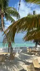 Vaea (@vaea.brazier) | Snapchat Stories, Spotlight & Lenses