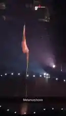 Trinity (@trinitysdaily) | Snapchat Stories, Spotlight & Lenses