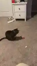 uwu tofu (@uwutofuu) | Snapchat Stories, Spotlight & Lenses