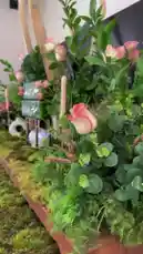 مس ديزاين . (@ms.designsksa) | Snapchat Stories, Spotlight & Lenses