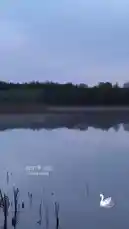 Dusty Dubs (@thedustydubs) | Snapchat Stories, Spotlight & Lenses