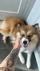 Ruby Hexx (@therubyhexx) | Snapchat Stories, Spotlight & Lenses