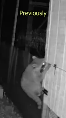 SlickStevie (@slick.stevie) | Snapchat Stories, Spotlight & Lenses