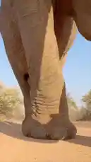 Bebahan Official (@bebahanofficial) | Snapchat Stories, Spotlight & Lenses