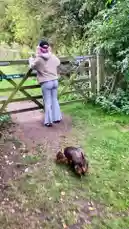 Suki Bryan (@sukibryan26) | Snapchat Stories, Spotlight & Lenses