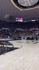 sally_dinosaur | Spotlight on Snapchat