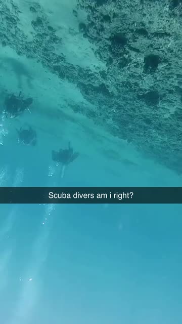 models | Search Snapchat Creators, Filters and Lenses