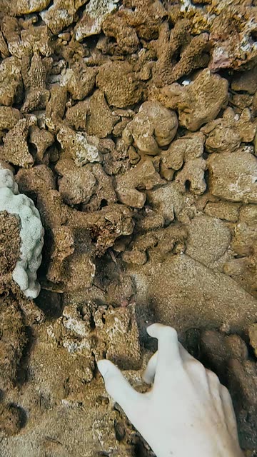 pollution | Search Snapchat Creators, Filters and Lenses