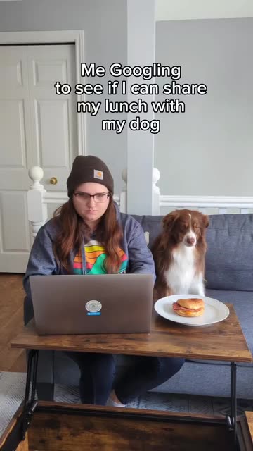 Typing Dog Memes