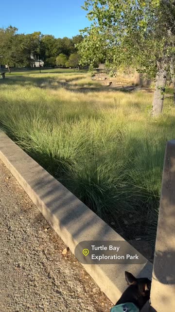 Turtle Bay Exploration Park Administration