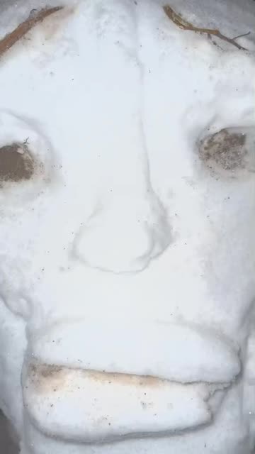 mewing | Search Snapchat Creators, Filters and Lenses