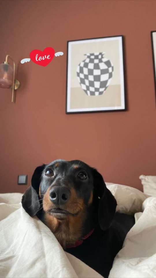 Joost Bouhof (@joostbouhof) | Snapchat Stories, Spotlight & Lenses