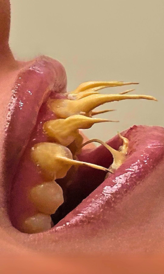 freaky | Search Snapchat Creators, Filters and Lenses