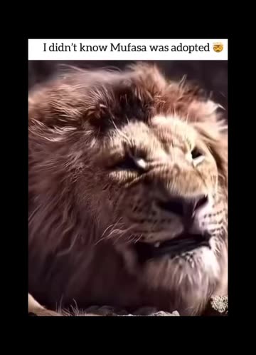 king | Search Snapchat Creators, Filters and Lenses