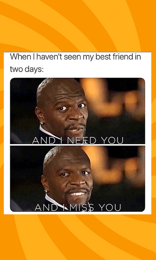 memes | Search Snapchat Creators, Filters and Lenses