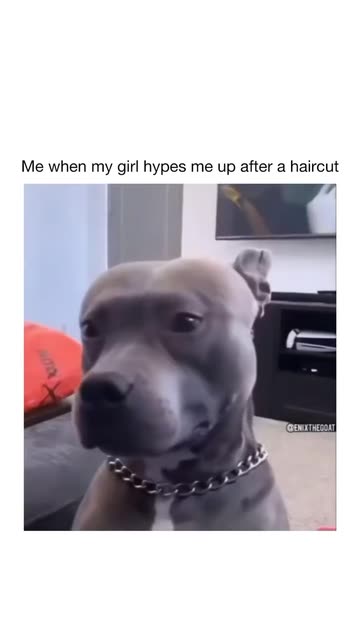 tayy.1215 | Spotlight on Snapchat