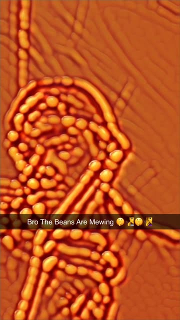 mewing | Search Snapchat Creators, Filters and Lenses