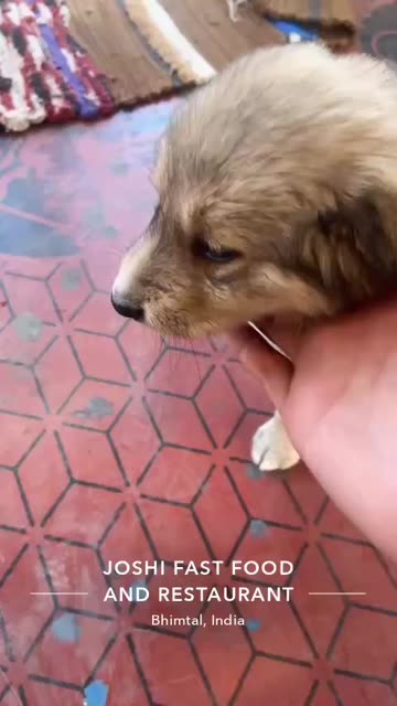 Joshi Fast Food And Restaurant